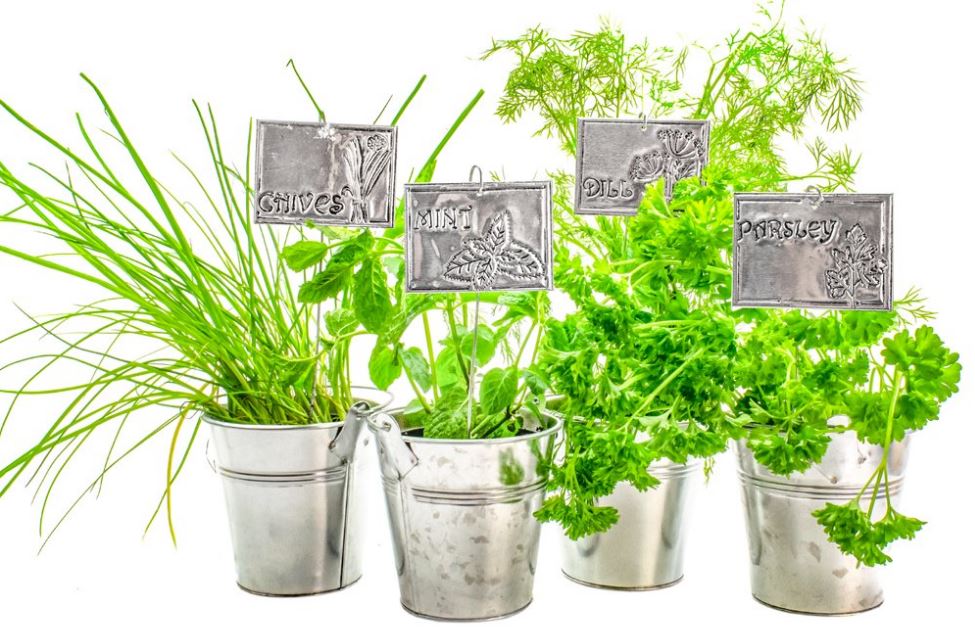 Embossed Metal Plant Label Kit | Pewter Concepts